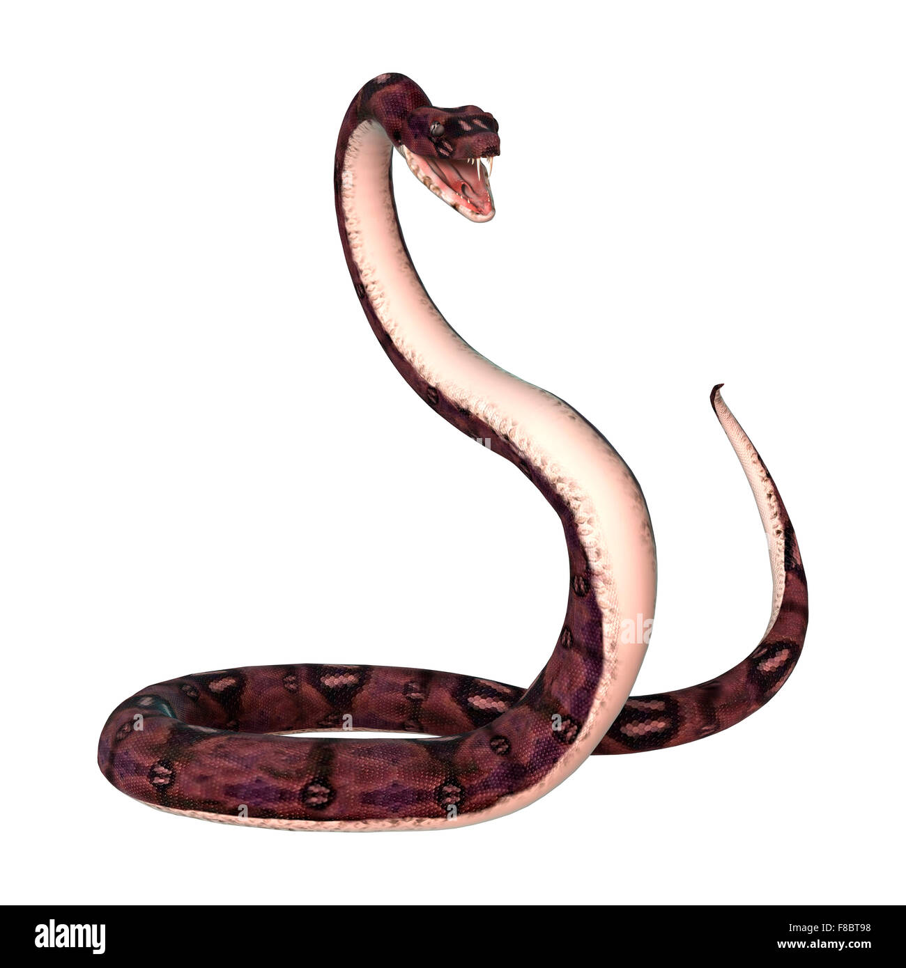3D digital render of an anaconda snake isolated on white background ...