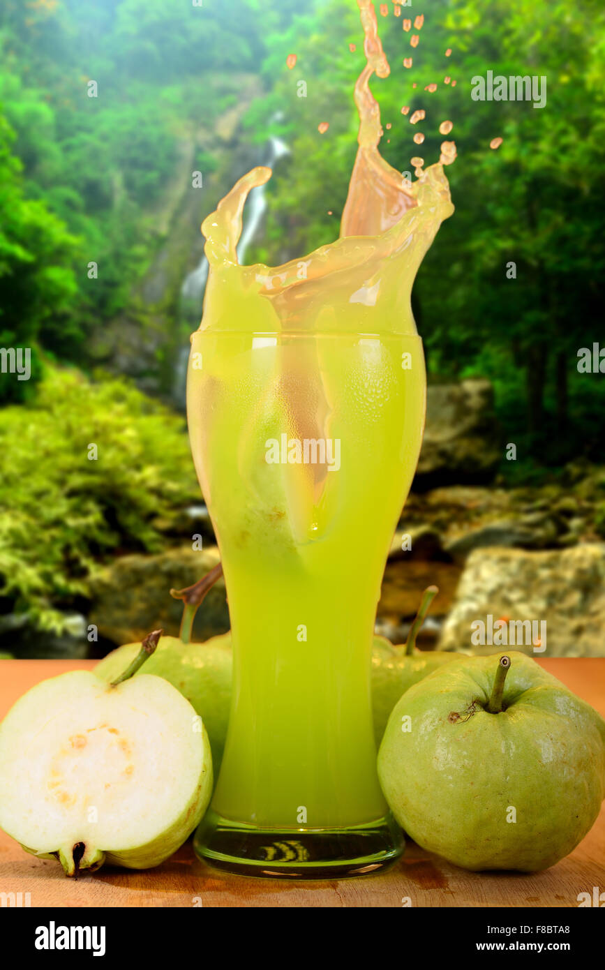 Guava and Guava live with the forest background Stock Photo - Alamy