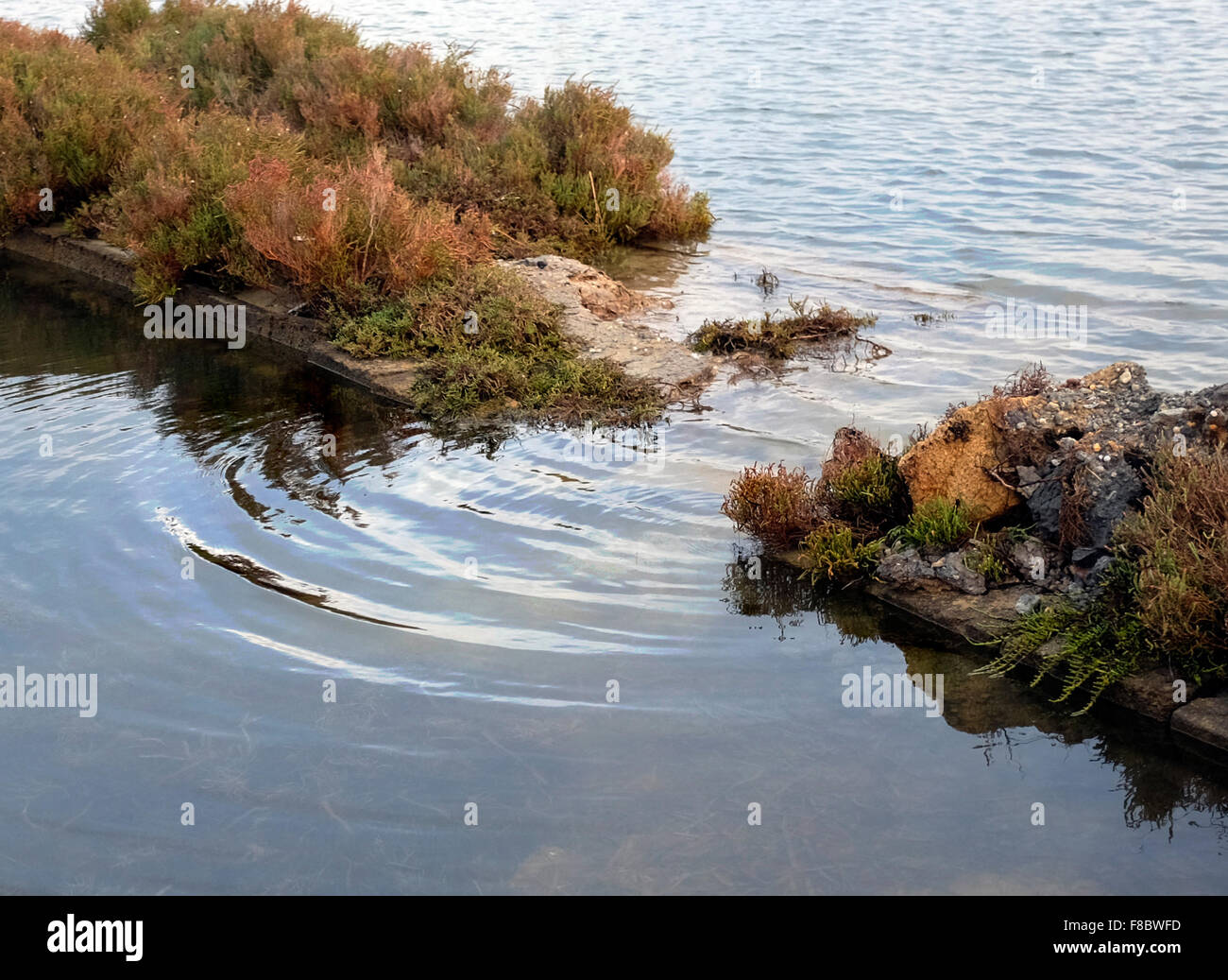 Uncomfortable chair hi-res stock photography and images - Alamy