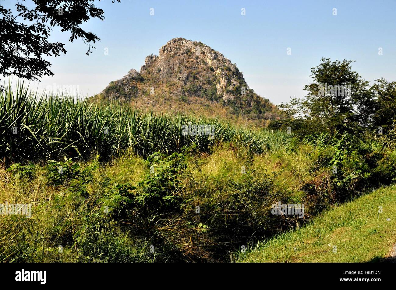 Karst towers hi-res stock photography and images - Alamy