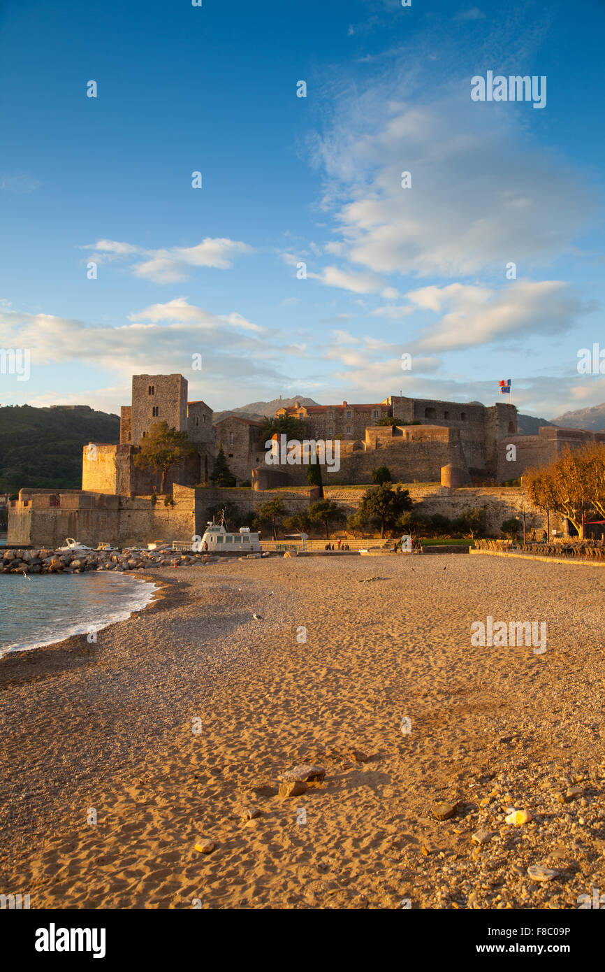 The Château Royal de Collioure and Collioure beach at sunrise Stock ...