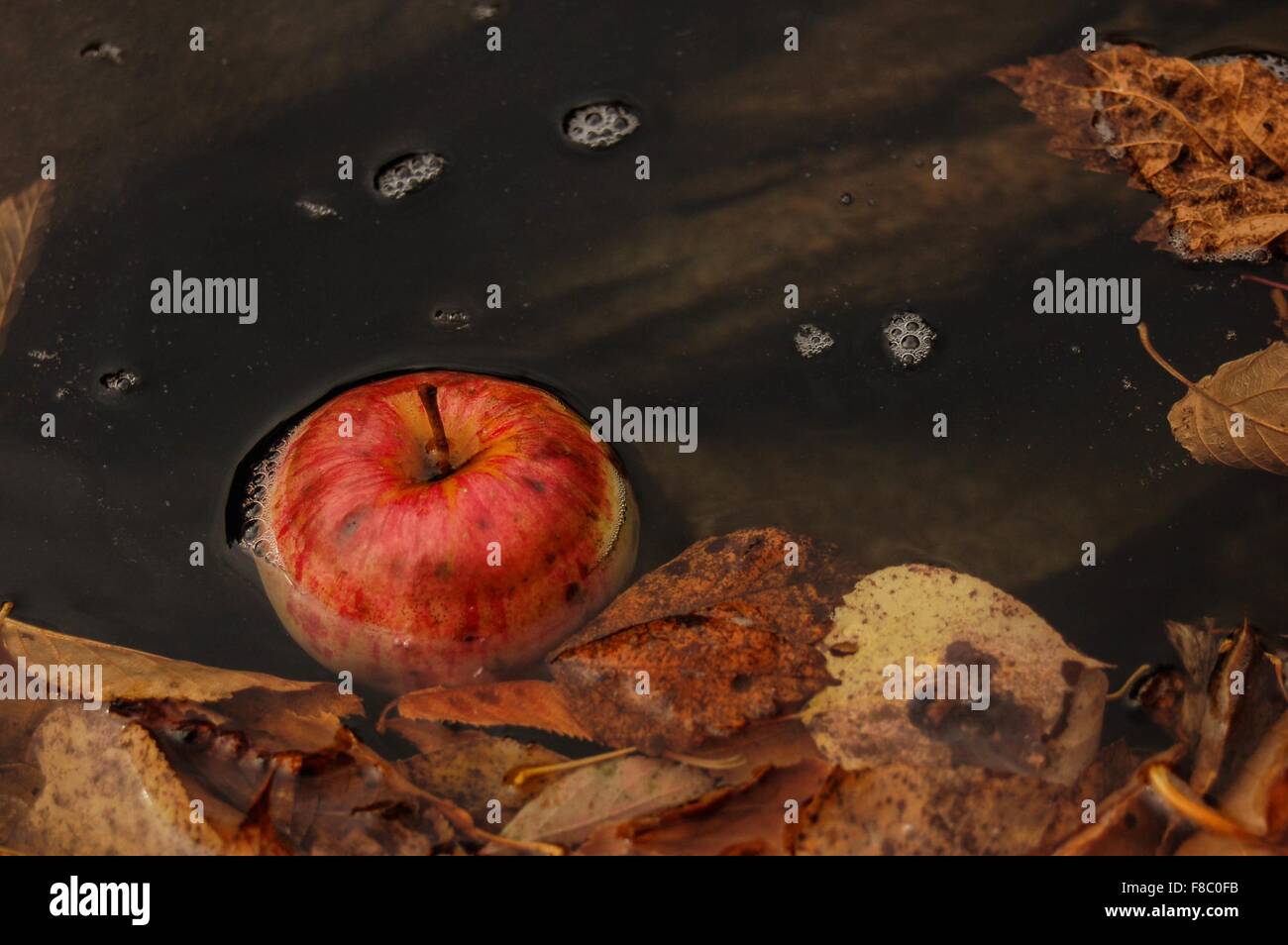 Apple river hi-res stock photography and images - Alamy