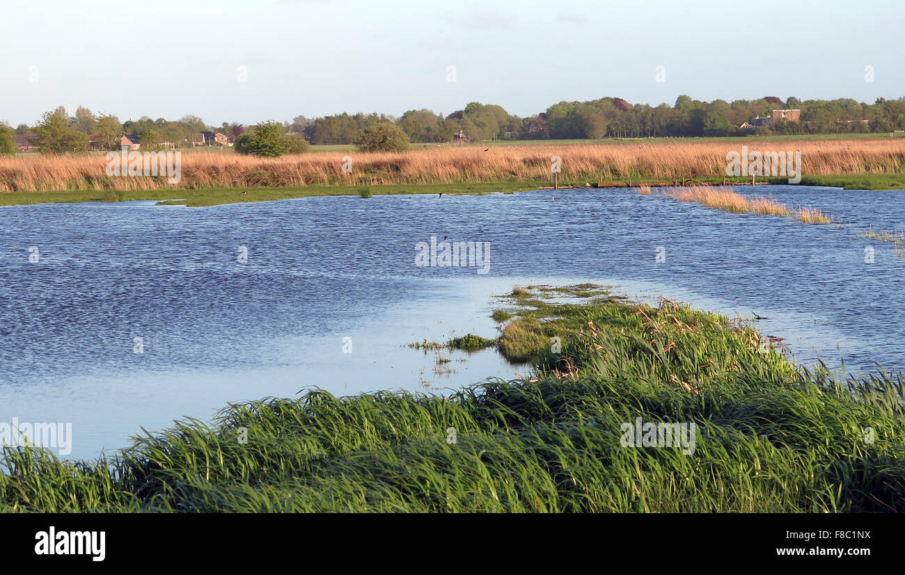 wind ripples water Stock Photo - Alamy