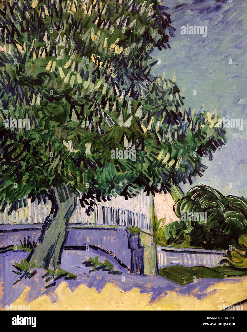 Blossoming chestnut trees (1890) by dutch painter Vincent van Gogh ...