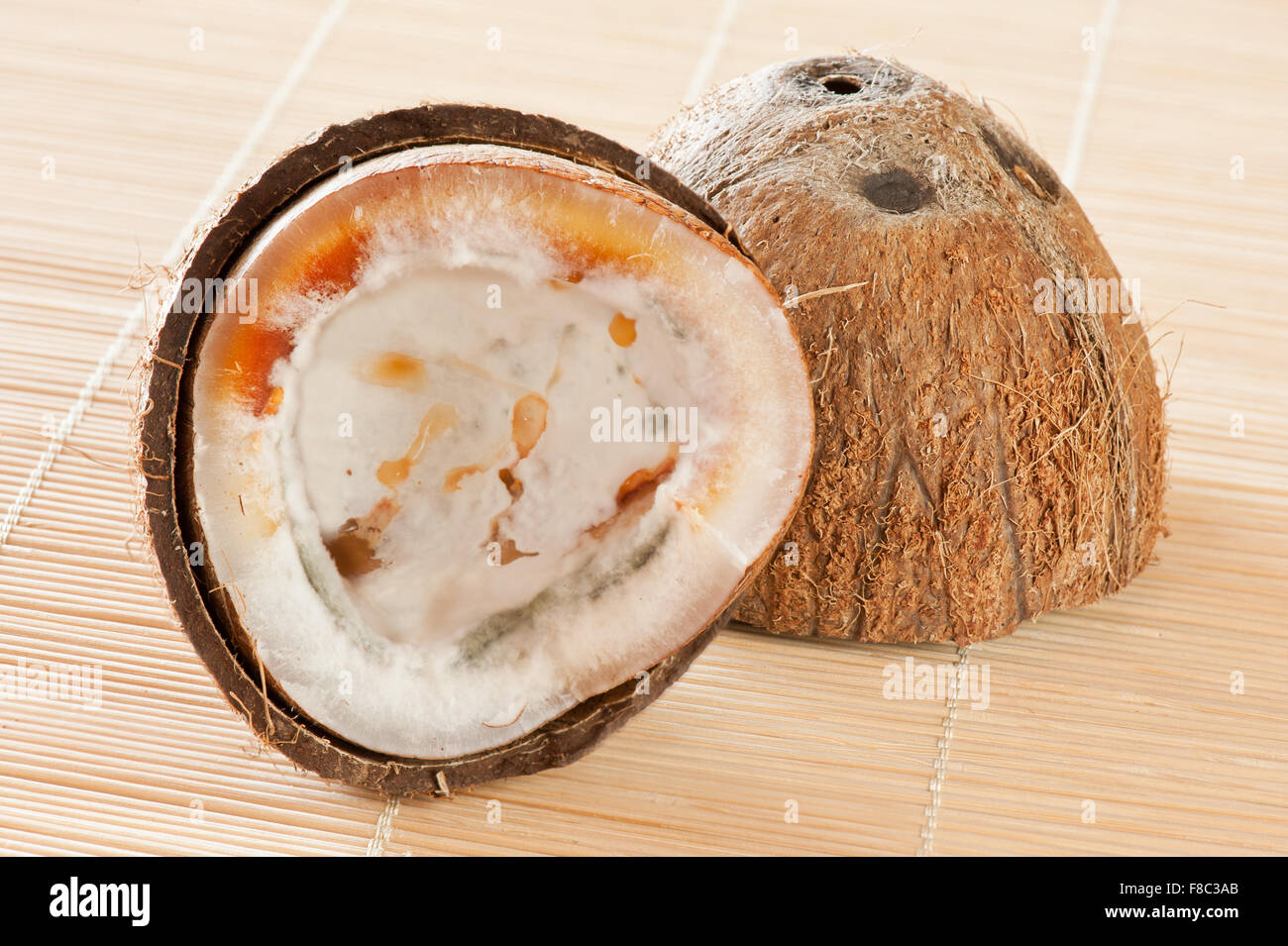 Rotten half coconut closeup, opened seed interior, mature moldy and ...