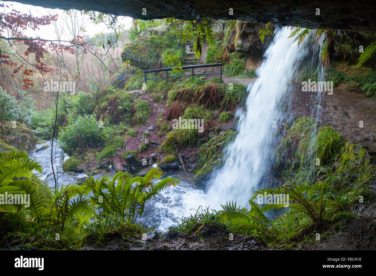 Waterfall in Maspie Den near Falkland Fife Scotland Stock Photo - Alamy