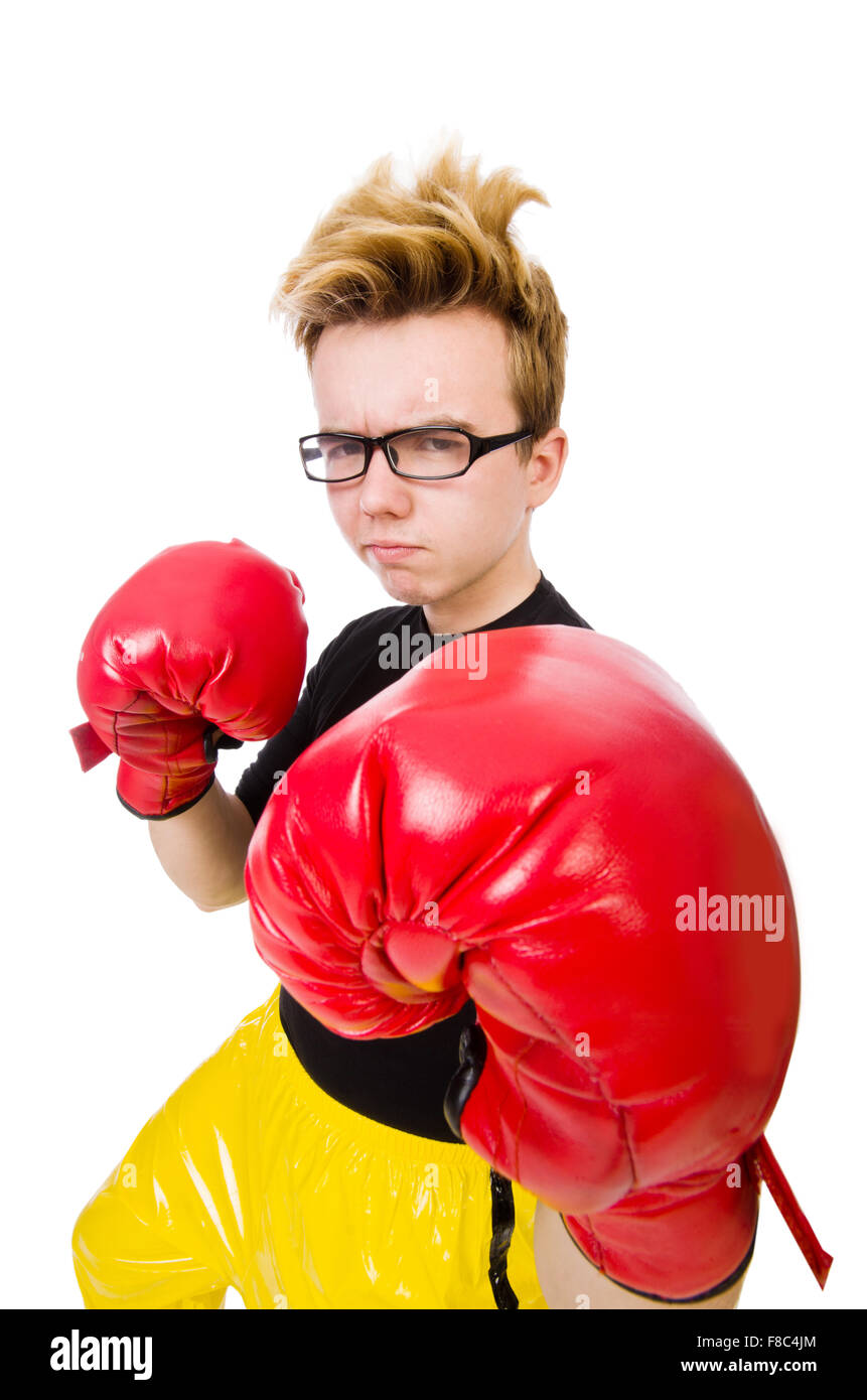 Funny boxer isolated on the white background Stock Photo - Alamy