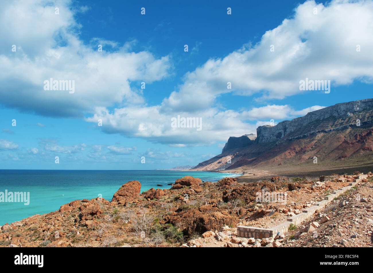 Indian biodiversity hi-res stock photography and images - Alamy