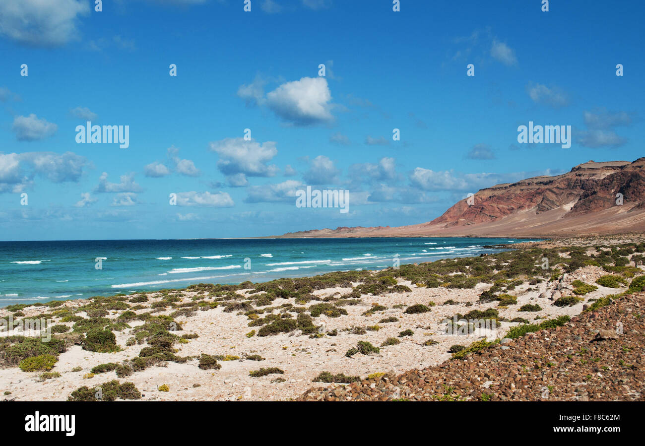 Socotra, island, Yemen, Middle East: beach Indian Ocean and the ...