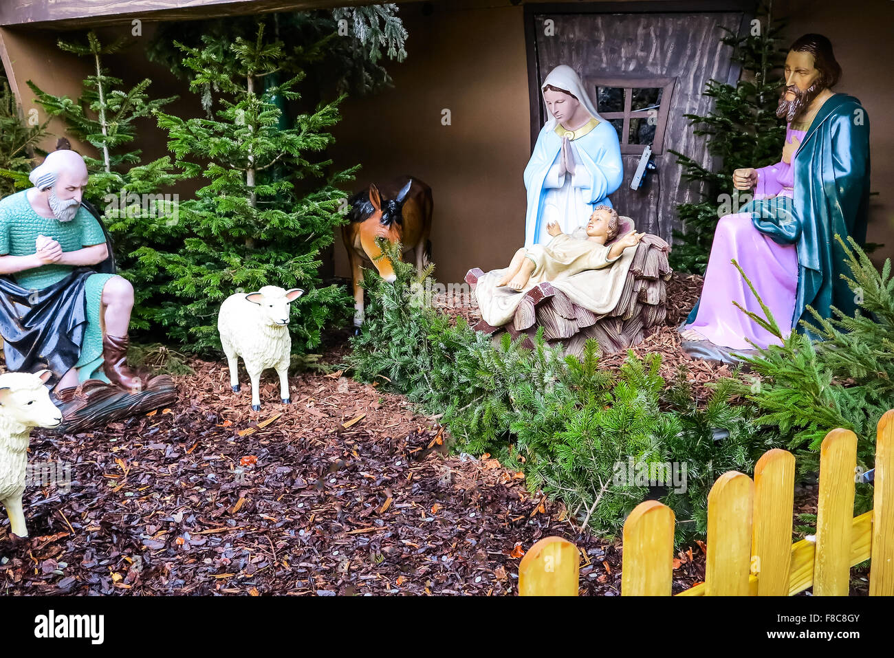 Christmas Nativity Scene in front of the Fluweelengrot in Valkenburg ...