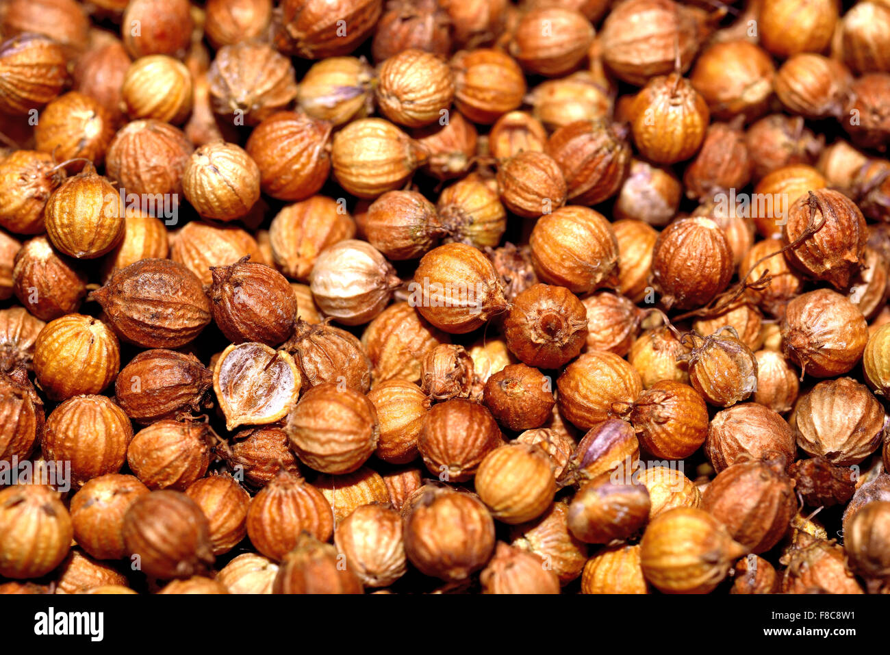 Close up coriander seeds hi-res stock photography and images - Alamy