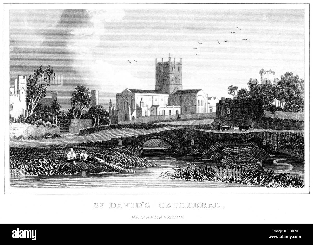 St davids cathedral drawing hi-res stock photography and images - Alamy