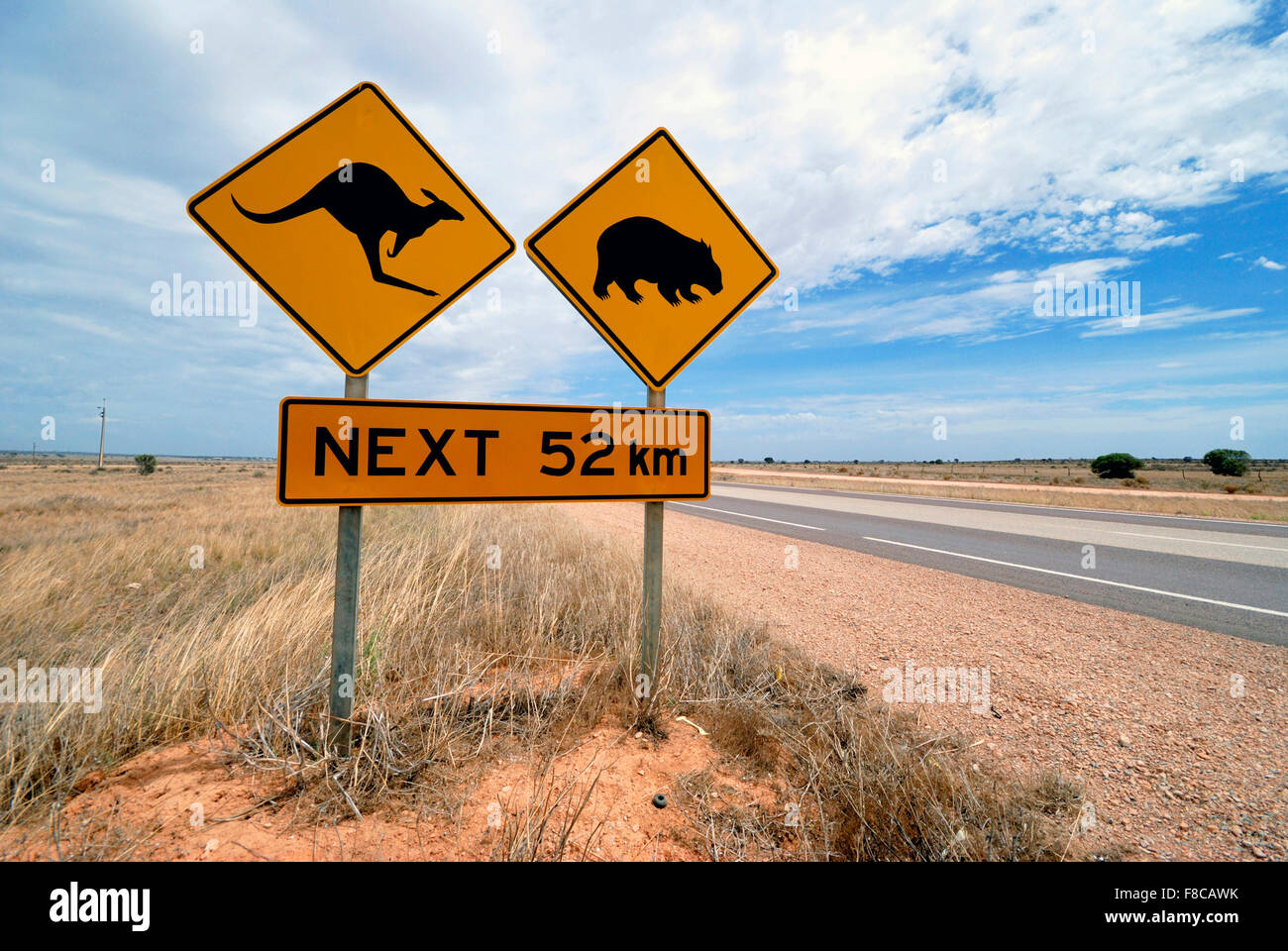Kangaroo, wombat warning sign at the desert highway in Australia Stock ...