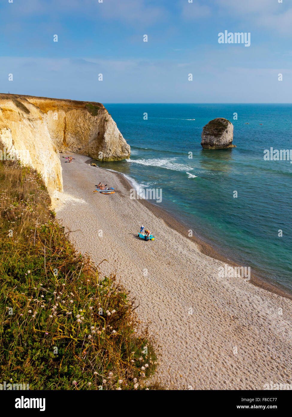 Freshwater Bay a small cove with chalk cliffs and rock stack on the ...