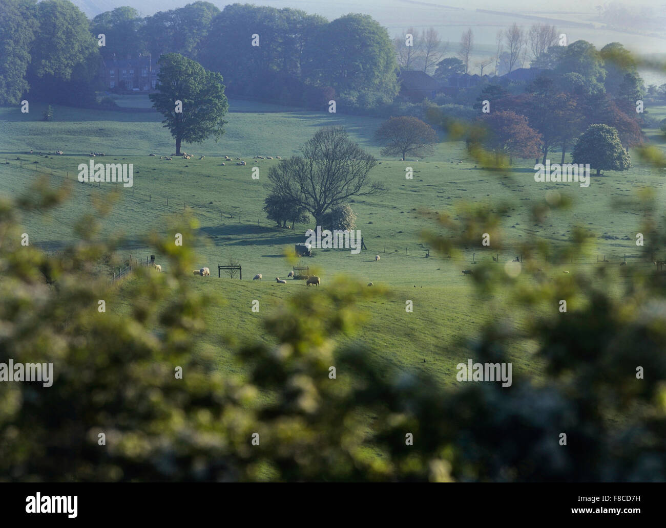 Bluestone road hi-res stock photography and images - Alamy