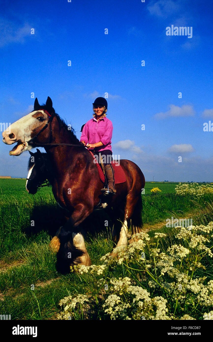 Great steeping hi-res stock photography and images - Alamy