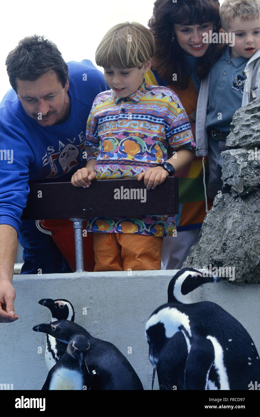Feeding the penguins at Natureland Seal Sanctuary. Skegness ...