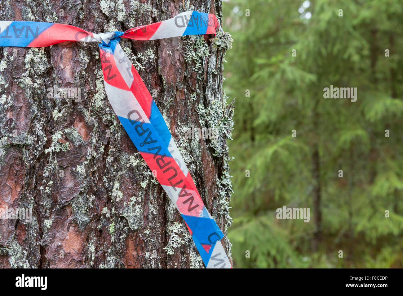 Marking for nature preservation Stock Photo - Alamy