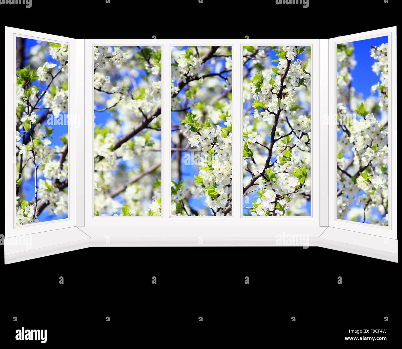 window to the garden overlooking the garden with blossoming plum-tree ...