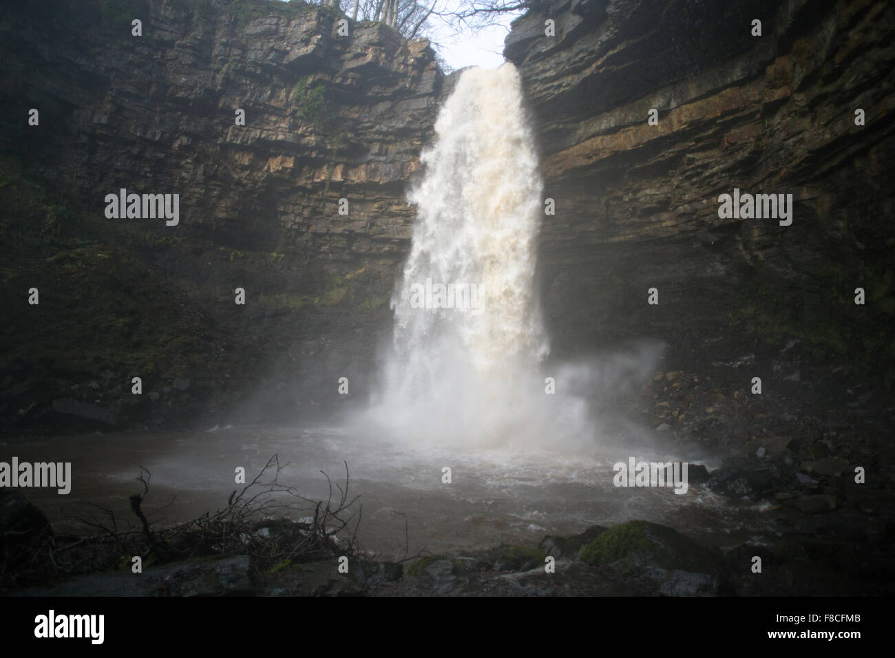 Hardraw Force, the largest single drop waterfall in England Stock Photo ...