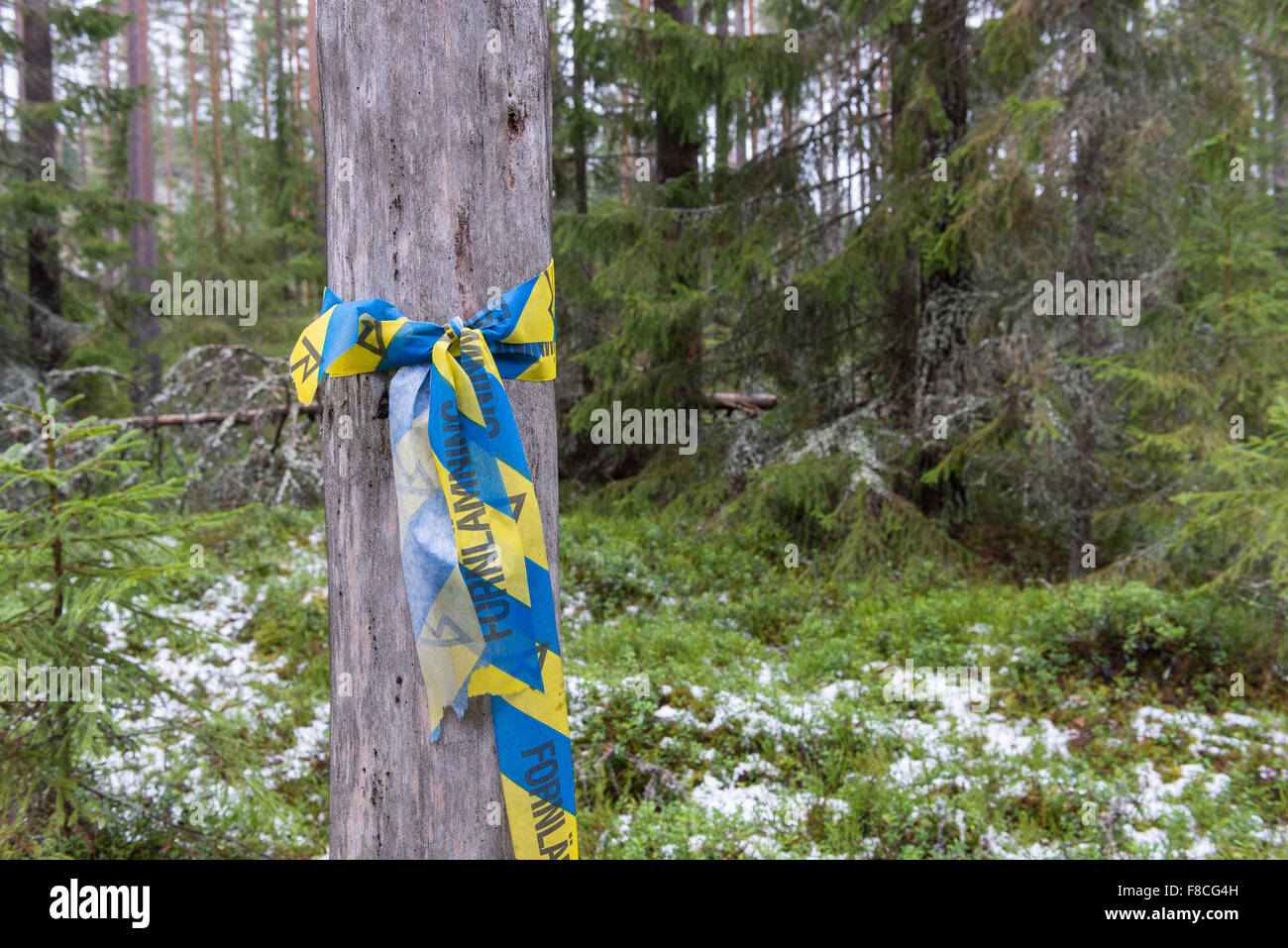 Marking for nature preservation Stock Photo - Alamy