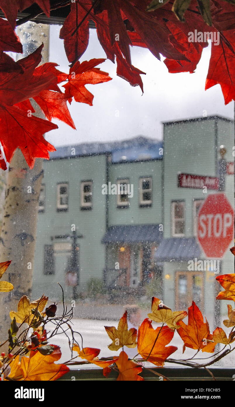 Window lined with leaves looking out onto snow on the street in ...