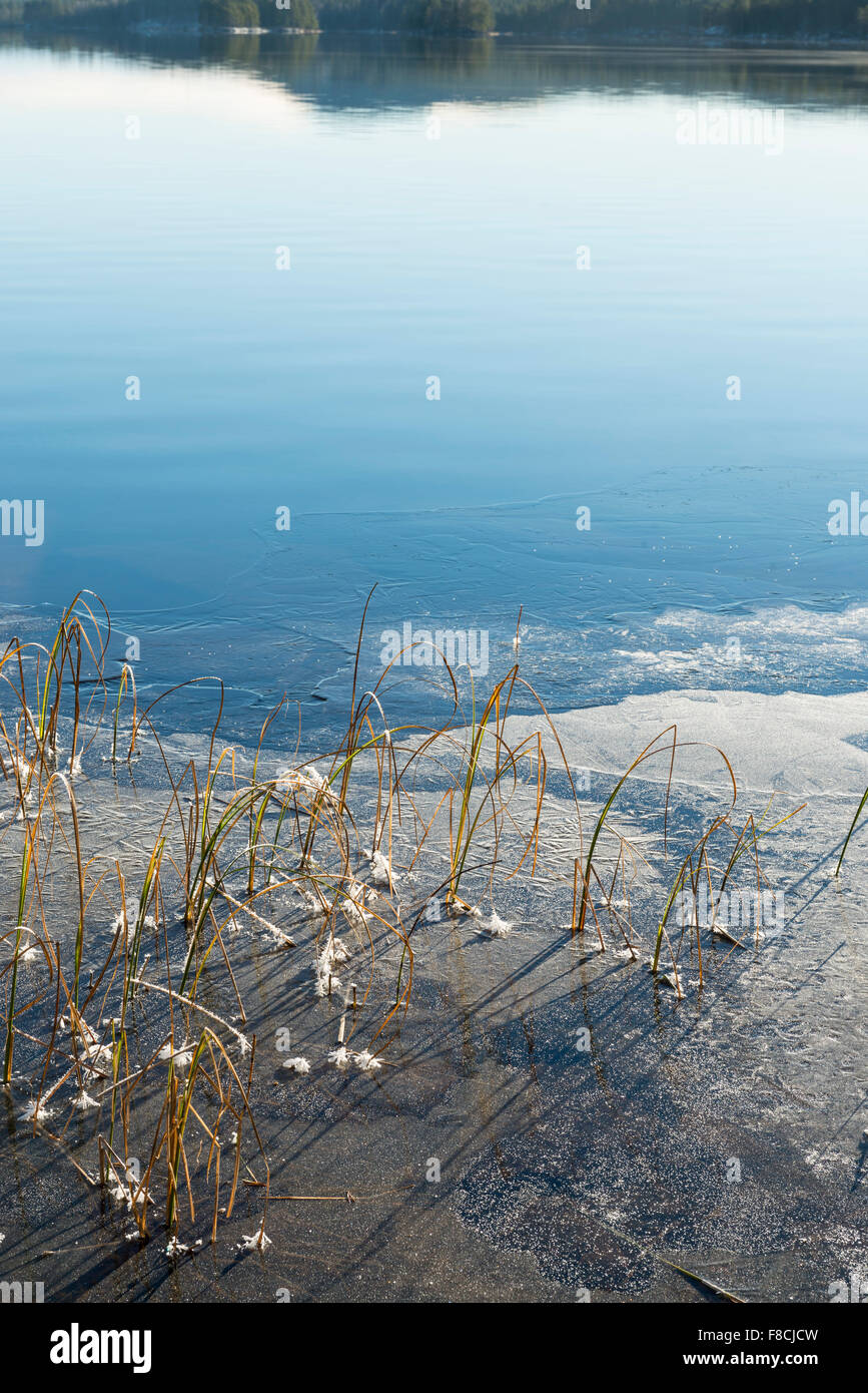 Lake with new ice Stock Photo - Alamy