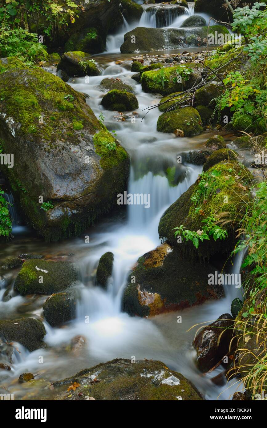 mountain forest landscapecreek with fresh water Stock Photo - Alamy