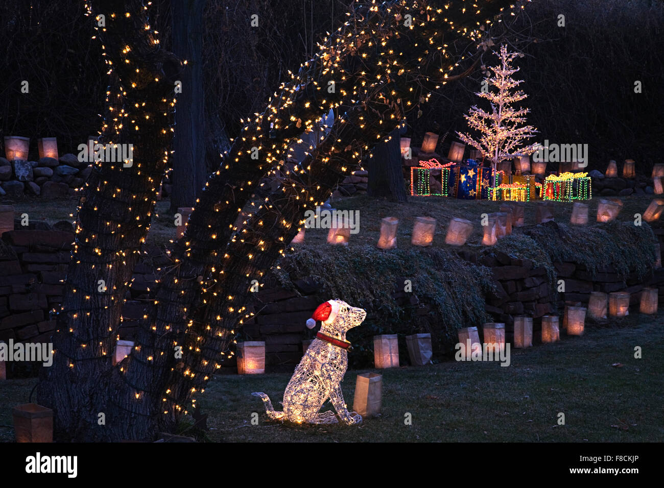 Faralitos and luminarias are traditional Christmas lights that decorate ...