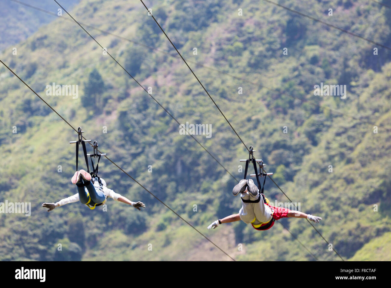 Jungle activities hi-res stock photography and images - Alamy