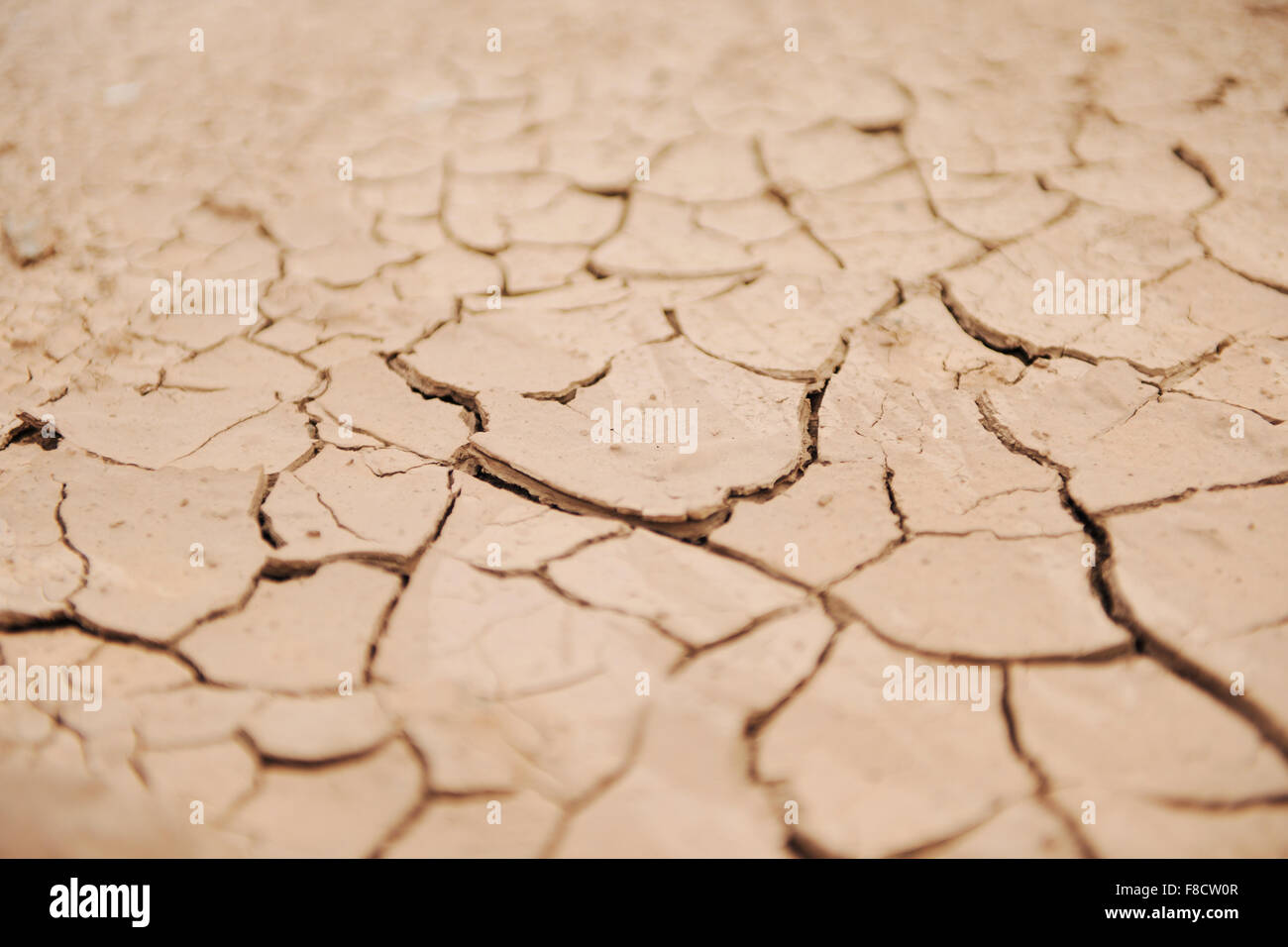 dry brown ground background Stock Photo - Alamy