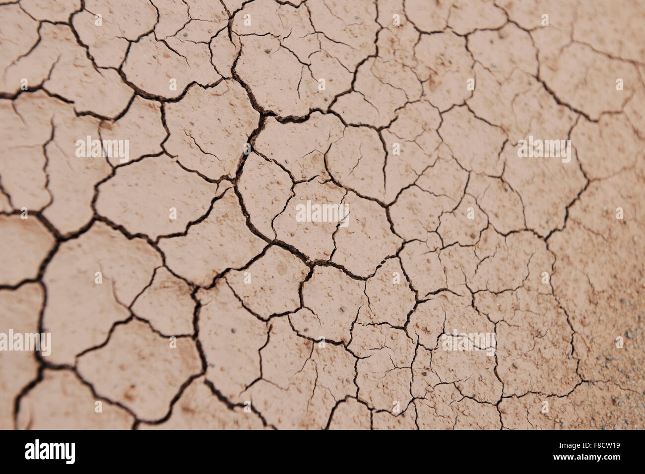 dry brown ground background Stock Photo - Alamy