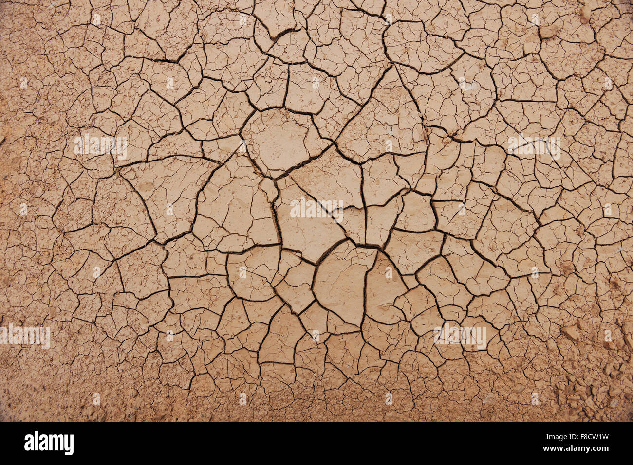 dry brown ground background Stock Photo - Alamy
