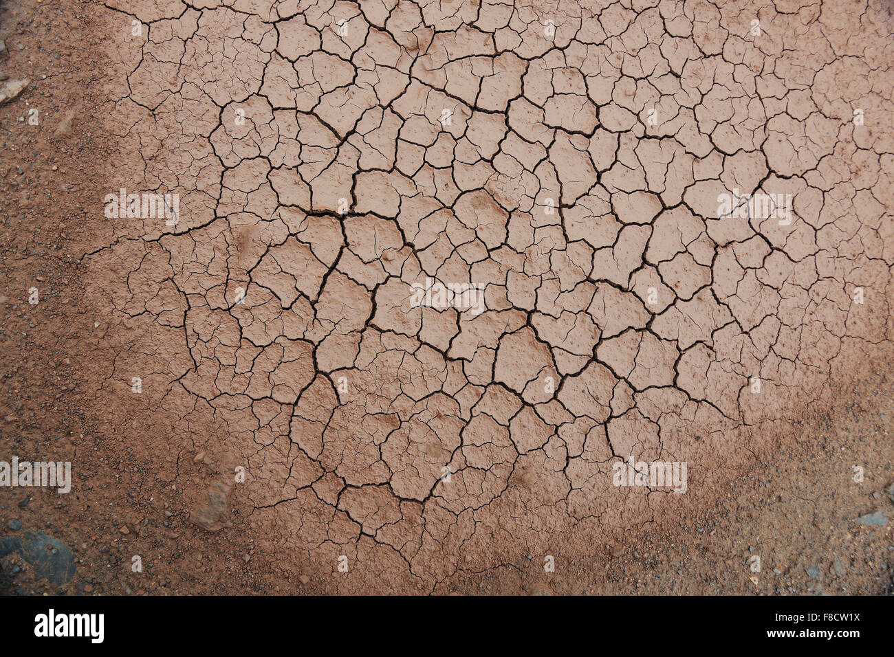 dry brown ground background Stock Photo - Alamy