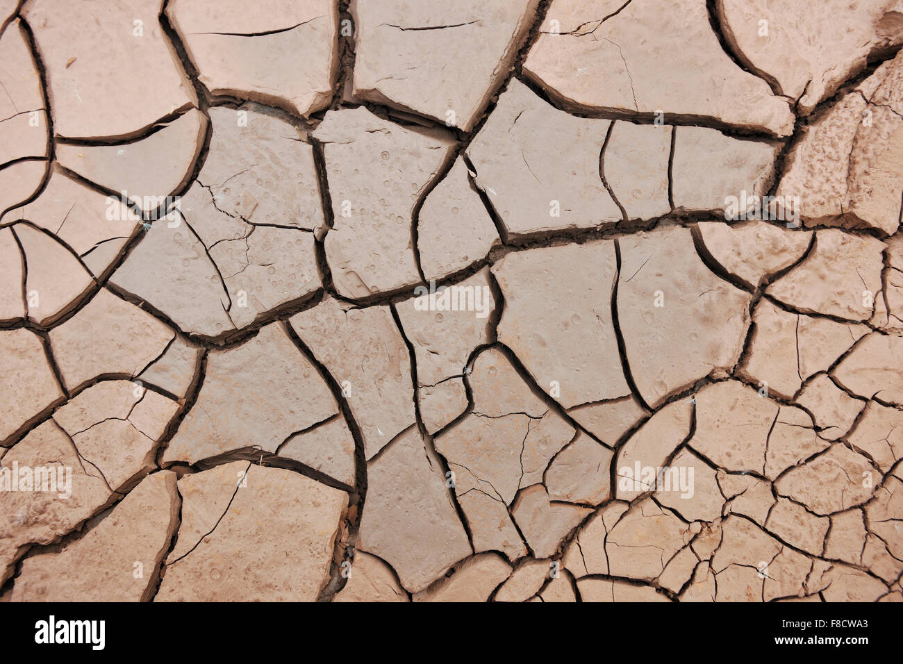 Movie Screen Africa High Resolution Stock Photography and Images - Alamy