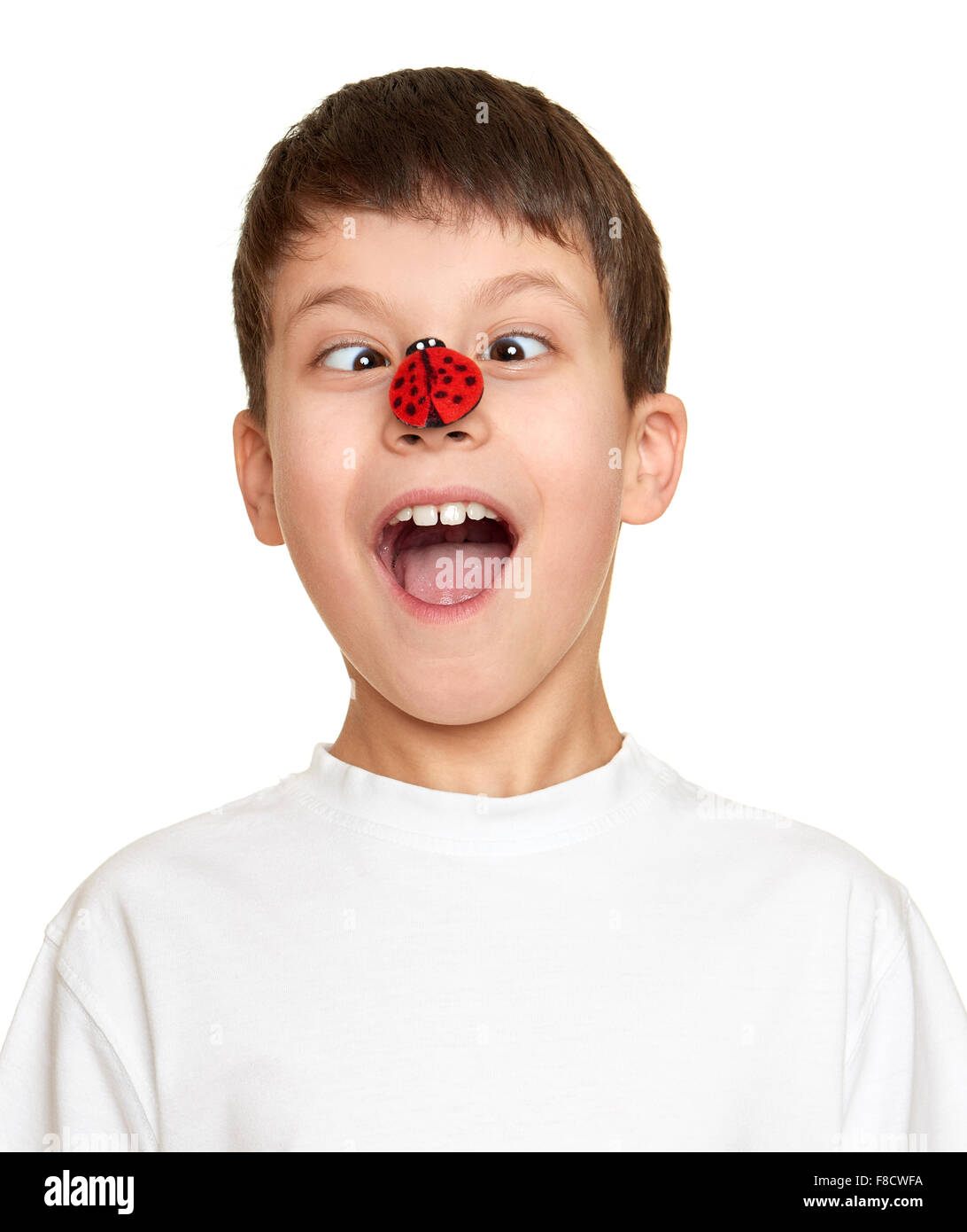 Surprise ladybug hi-res stock photography and images - Alamy