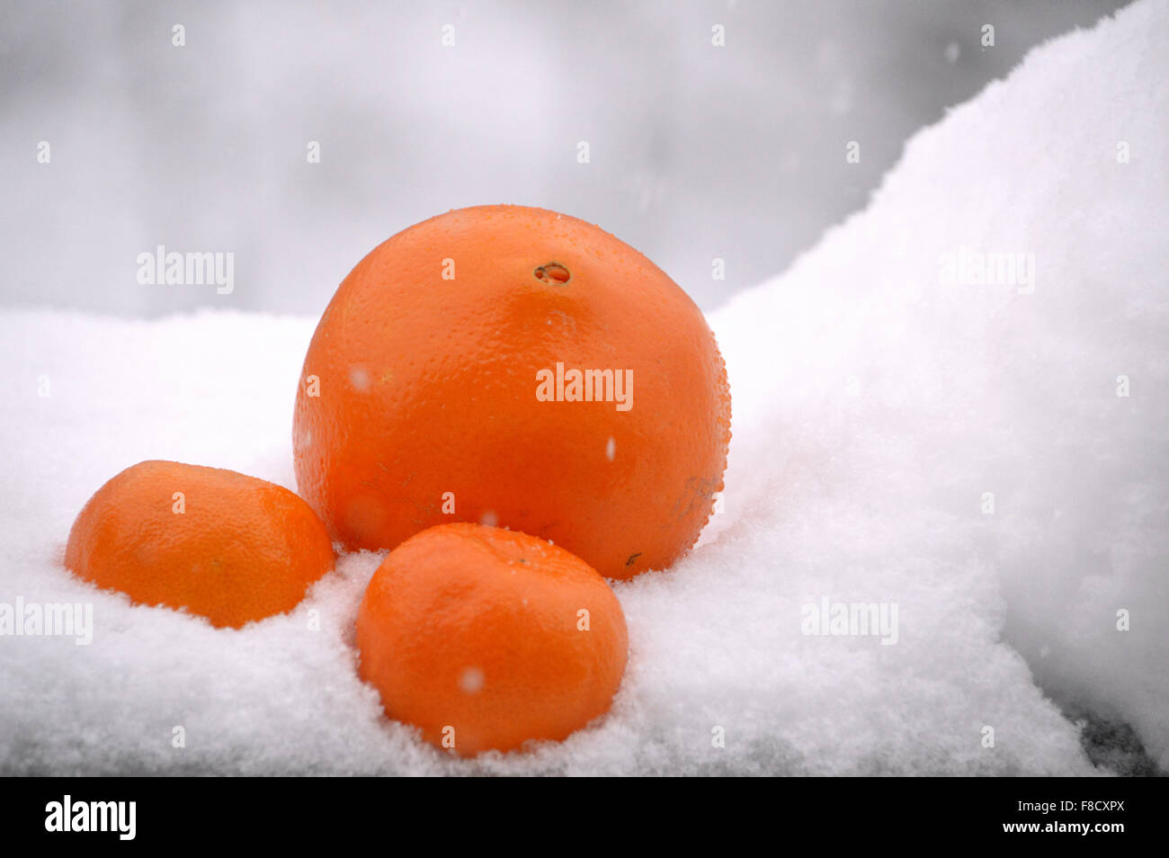 Fruits snow hi-res stock photography and images - Alamy