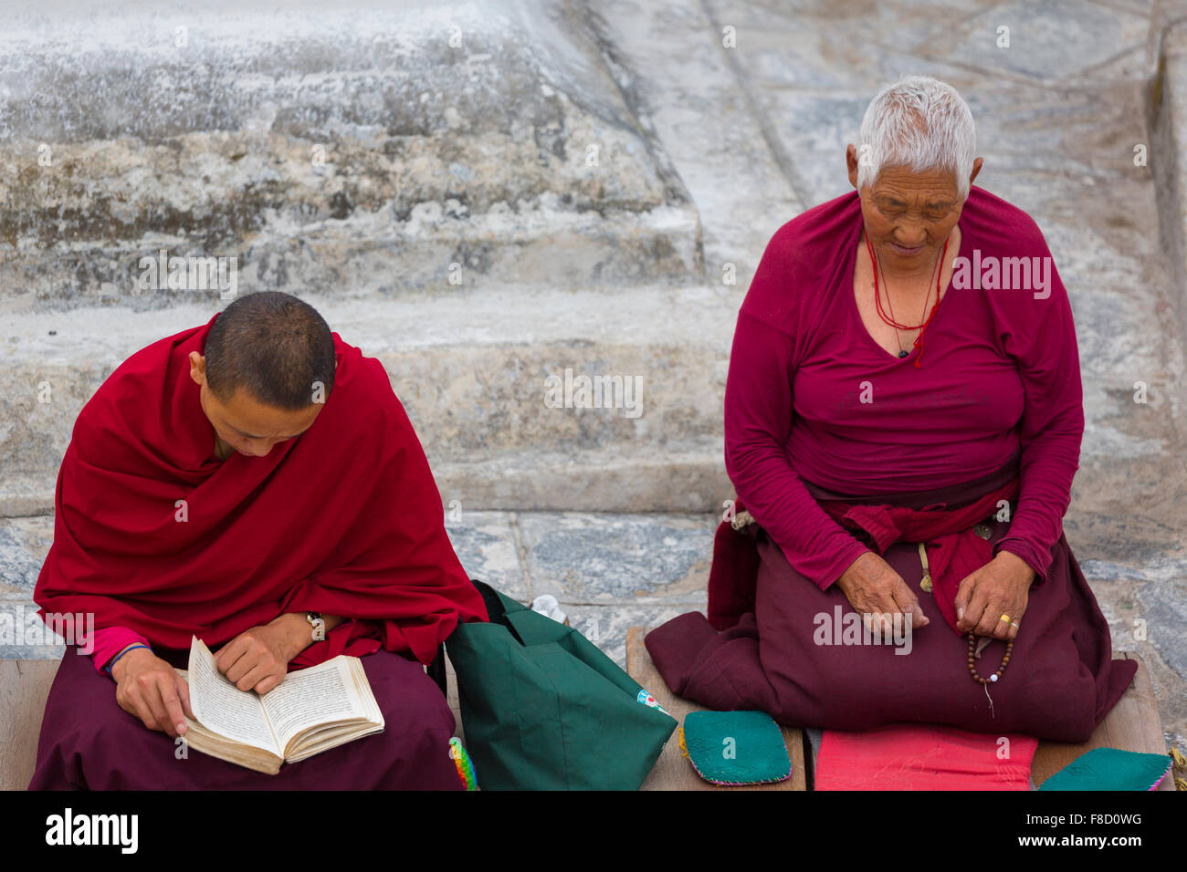 Tibetan women monk praying at the Boudhanath Stupa Stock Photo - Alamy