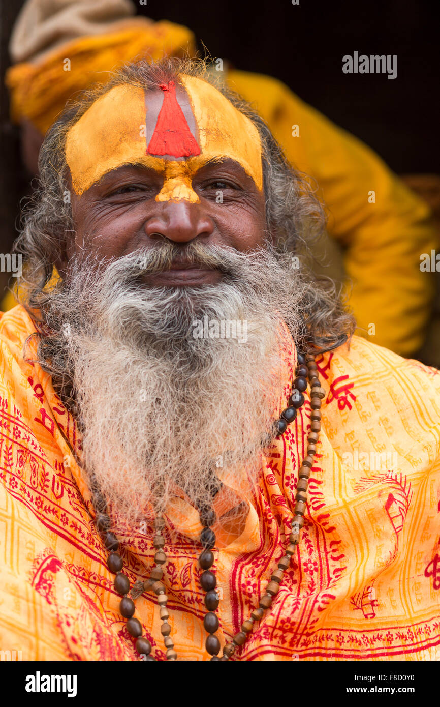 Portrait Sadhu - holy man, india Stock Photo - Alamy