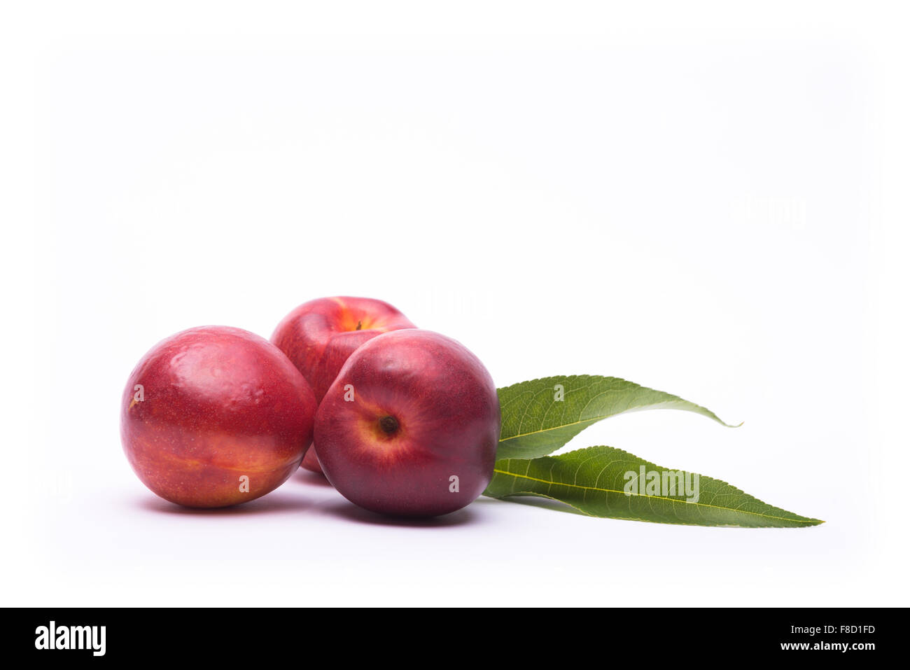 Nectarine on a white background Stock Photo - Alamy