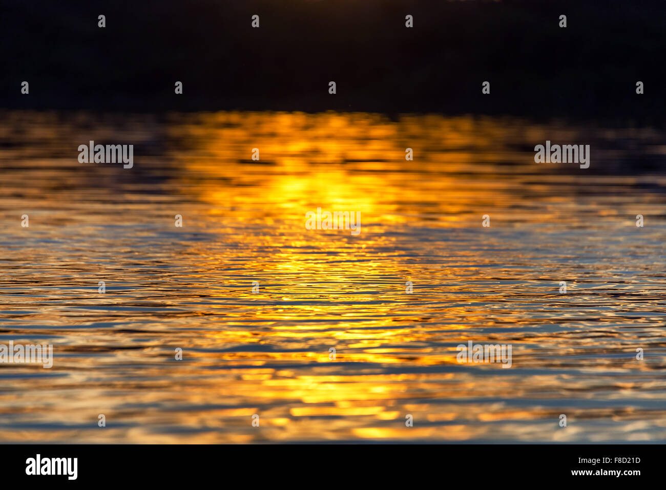 Fiery orange sunset reflection on the Javari River in the Amazon rain ...