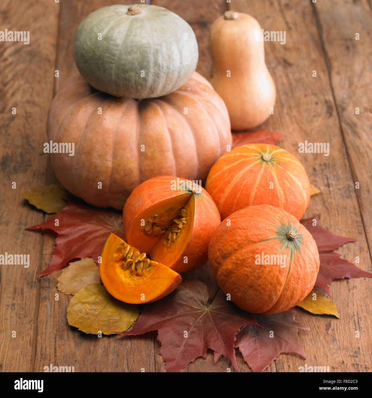 Different types of pumpkins together with the decoration of fallen ...