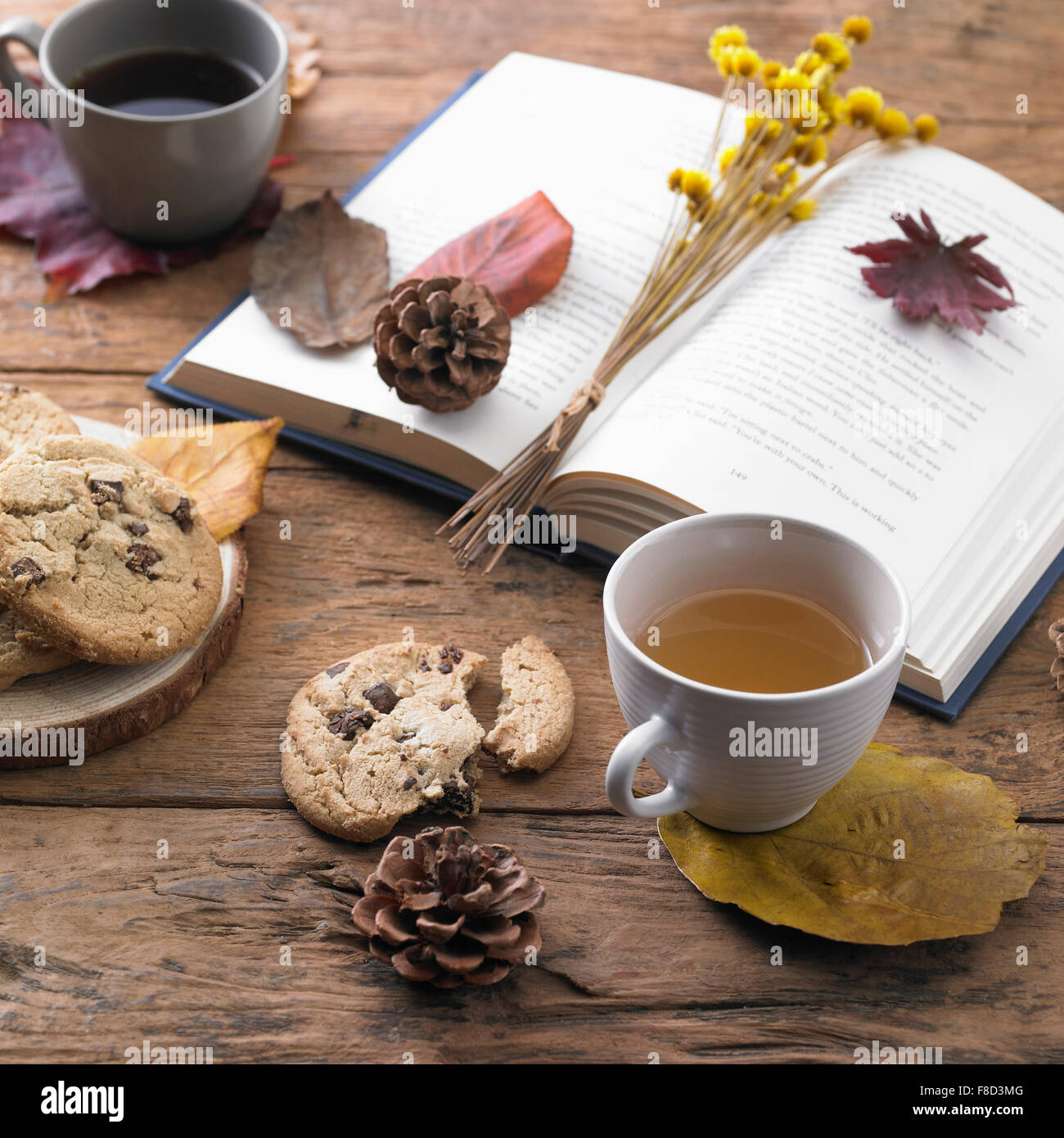 Book with dried flowers and fallen leaves decoration with a cup of tea ...