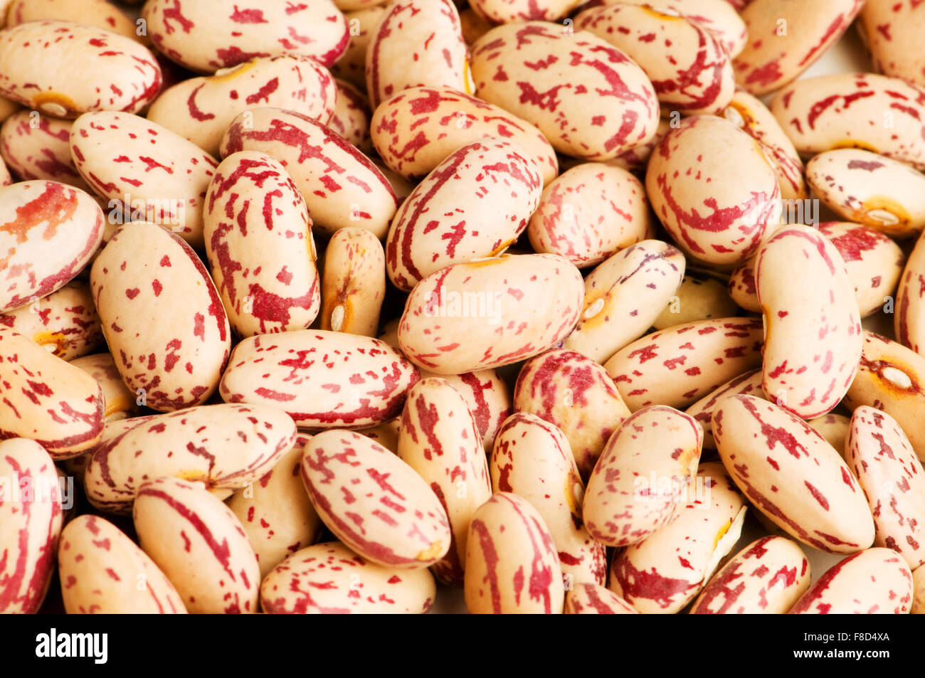 Bunch of beans arranged as a background Stock Photo - Alamy