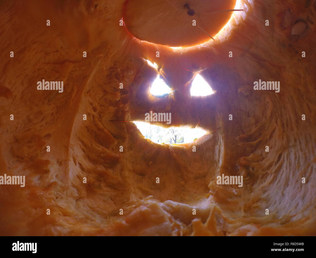 Inside pumpkin hi-res stock photography and images - Alamy
