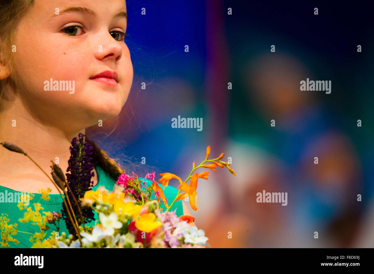 Young flower girls at The National Eisteddfod of Wales , held near ...
