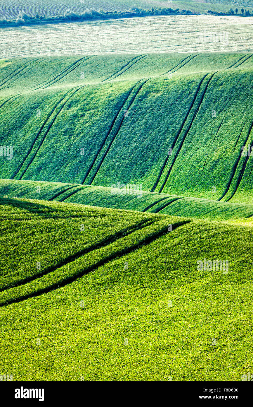 Rolling landscape of South Moravia Stock Photo - Alamy