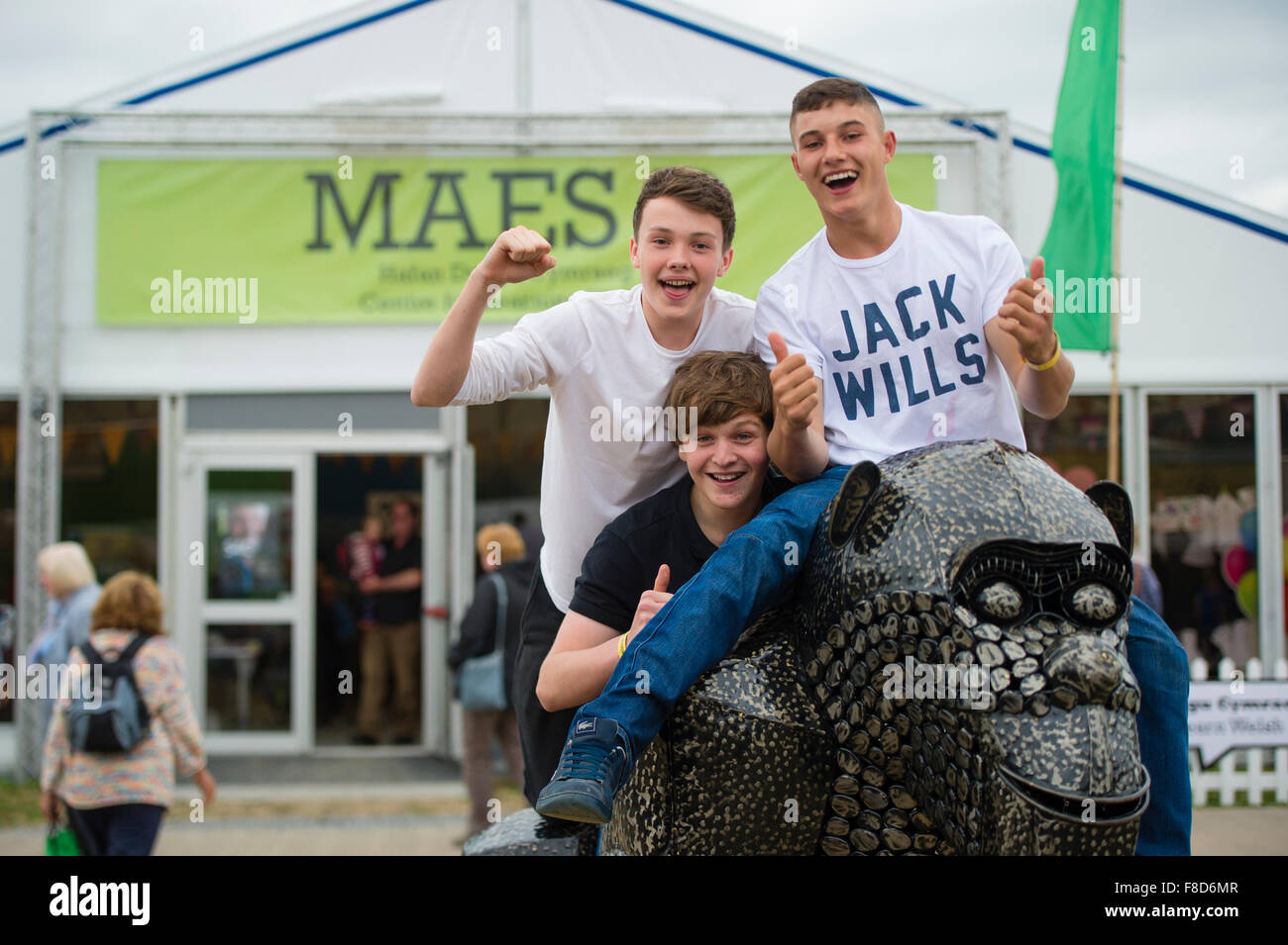 Young people enjoying themselves at The National Eisteddfod of Wales ...