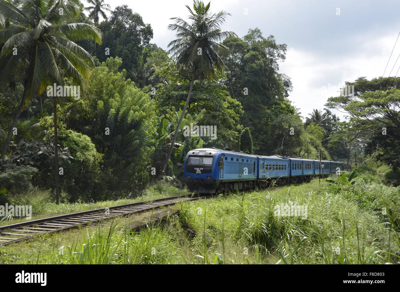 Jungle railway hi-res stock photography and images - Alamy