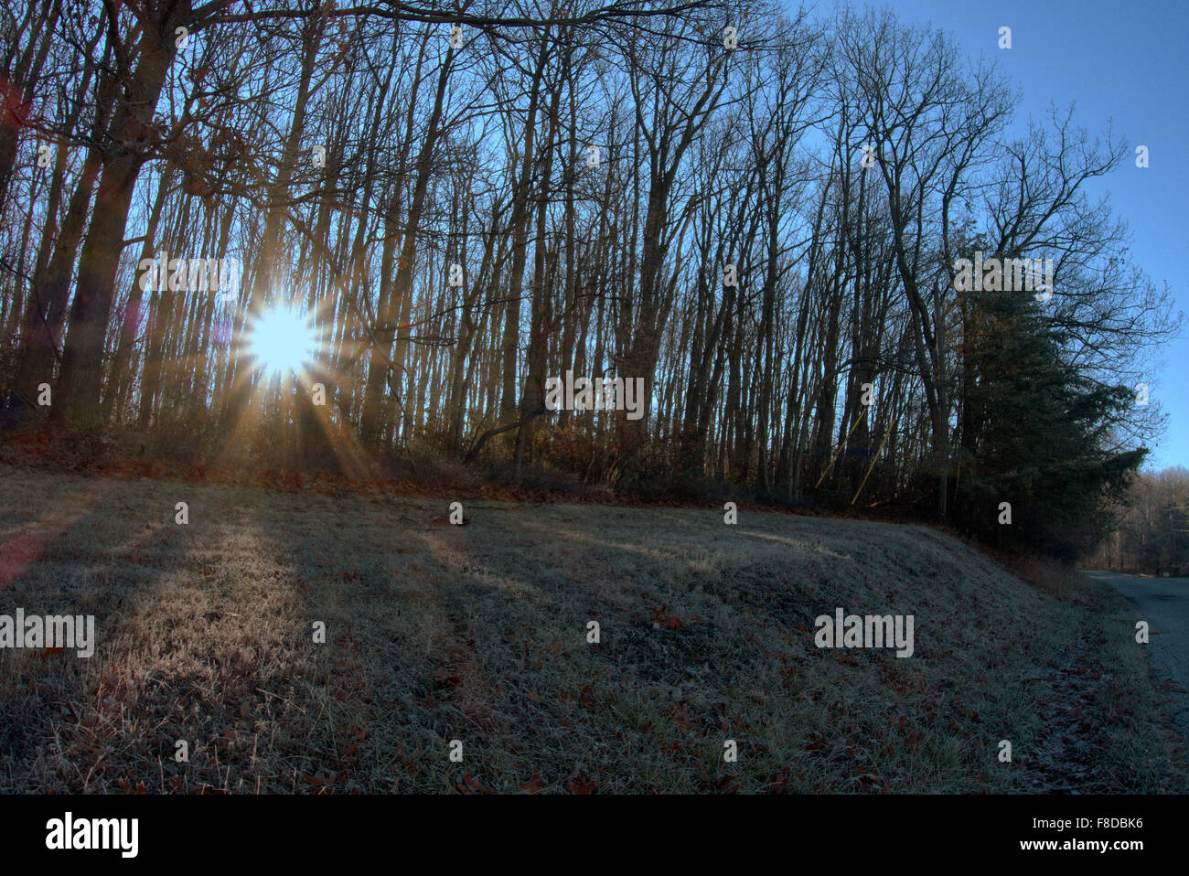 An early morning frost in Northern Baltimore County, Maryland. Taken in ...